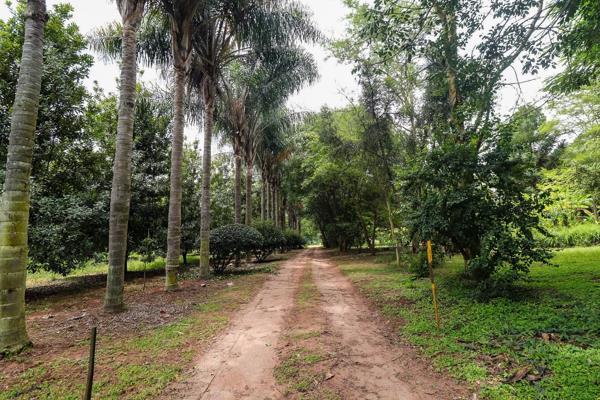 2.3 ha Farm for sale in White River | T4631110 | Private Property