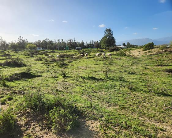 17.1 ha Farm for sale in Gouda | T4708895 | Private Property
