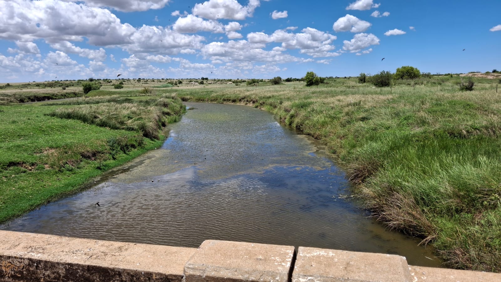 292 ha Farm for sale in Schweizer Reyneke | T4915769 | Private Property