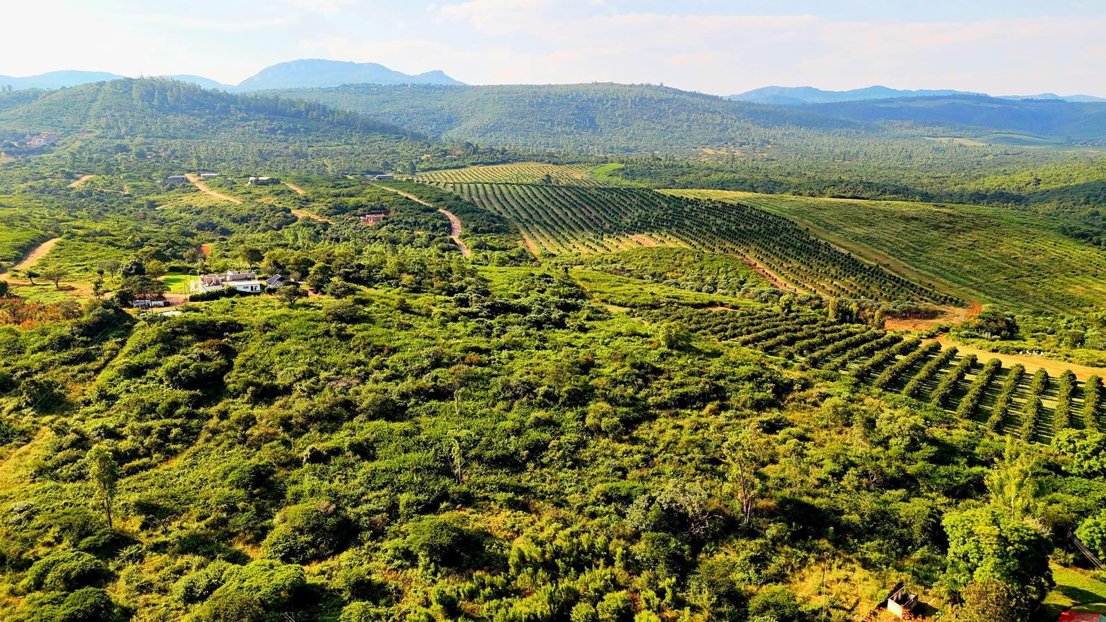 5.9 ha Land for sale in Louis Trichardt | T5052705 | Private Property