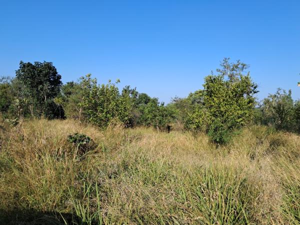 27 ha Farm for sale in Bushbuckridge | T5112839 | Private Property