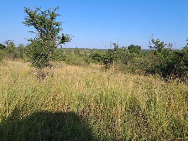 27 ha Farm for sale in Bushbuckridge | T5112839 | Private Property