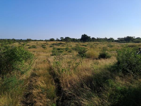 27 ha Farm for sale in Bushbuckridge | T5112839 | Private Property