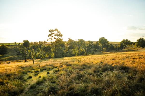 202 ha Farm for sale in Reitz | T5252854 | Private Property