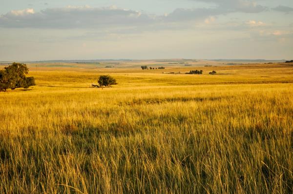 202 ha Farm for sale in Reitz | T5252854 | Private Property