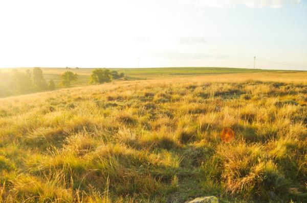 202 ha Farm for sale in Reitz | T5252854 | Private Property