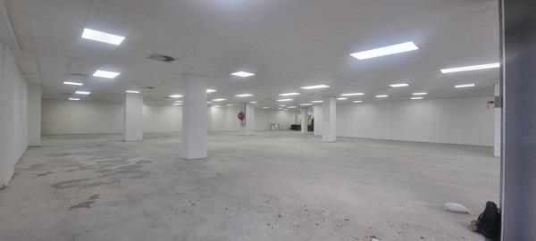 587 m² Commercial space to rent in Musgrave | RR4580760 | Private Property