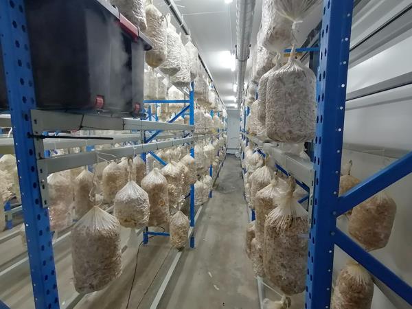 587 m² Industrial space to rent in Bellville Central | RR4583335 ...