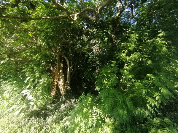 1 637 m² Land for sale in Margate | T5369613 | Private Property