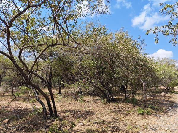 1 697 m² Land for sale in Marloth Park | T5460940 | Private Property