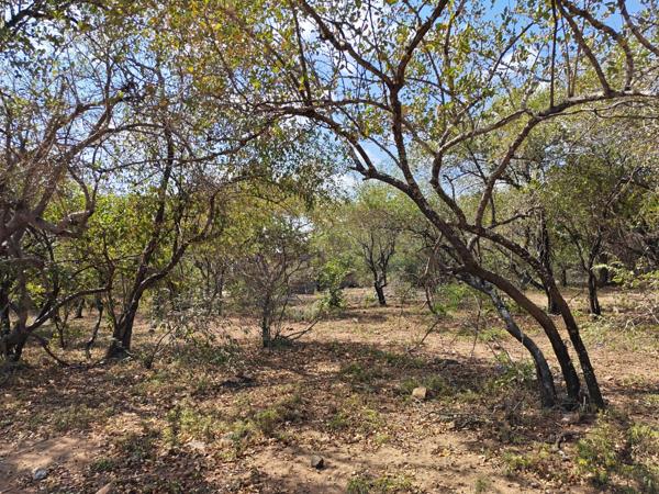 1 697 m² Land for sale in Marloth Park | T5460940 | Private Property