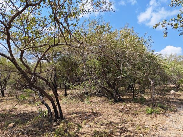 1 697 m² Land for sale in Marloth Park | T5460940 | Private Property