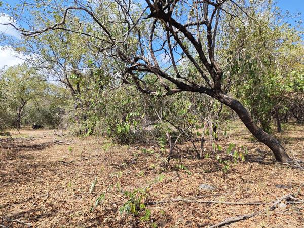 1 697 m² Land for sale in Marloth Park | T5460940 | Private Property
